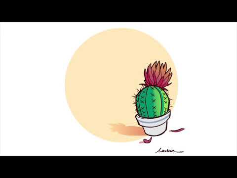 lambia - desert scene