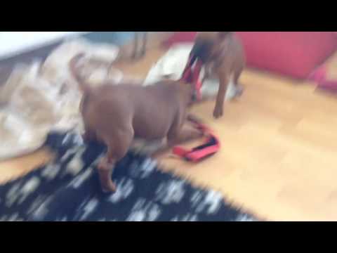 Deška a Devisme Brenneke TOW