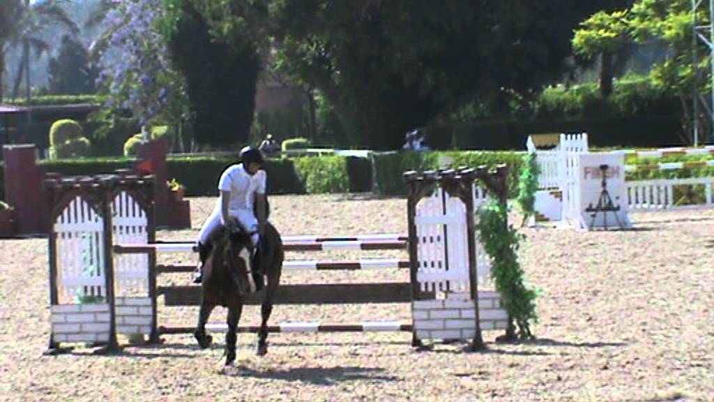 Bahaa El-Din - YouTube