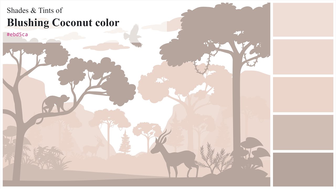 Shades & Tints of Blushing Coconut color #ebd5ca A Warm Orange color # ...