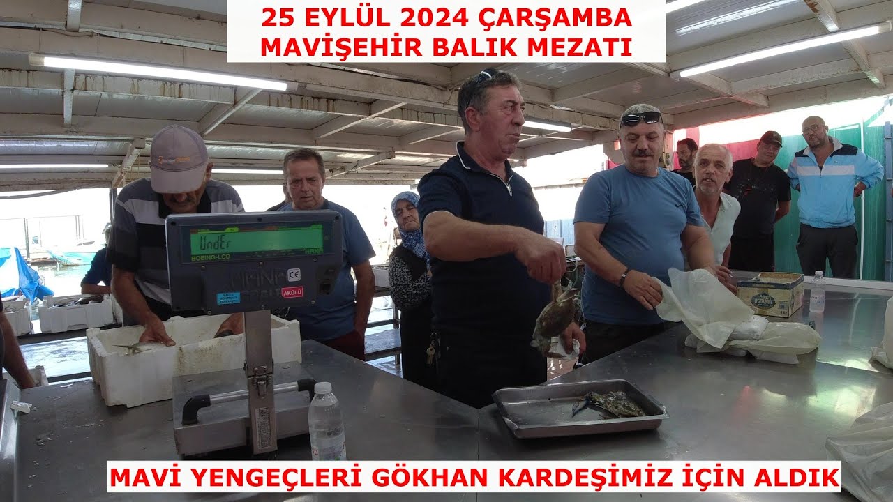 25 EYLÜL 2024 ÇARŞAMBA. MAVİŞEHİR BALIK MEZATINDA BUGÜN MAVİ YENGEÇ VE ...