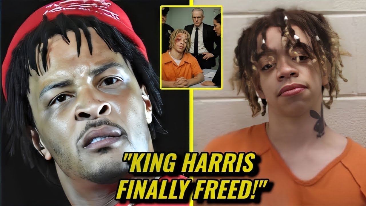 King Harris WALKS FREE | After Wrong-Gang Jail Incident — Judge SHOCKS ...