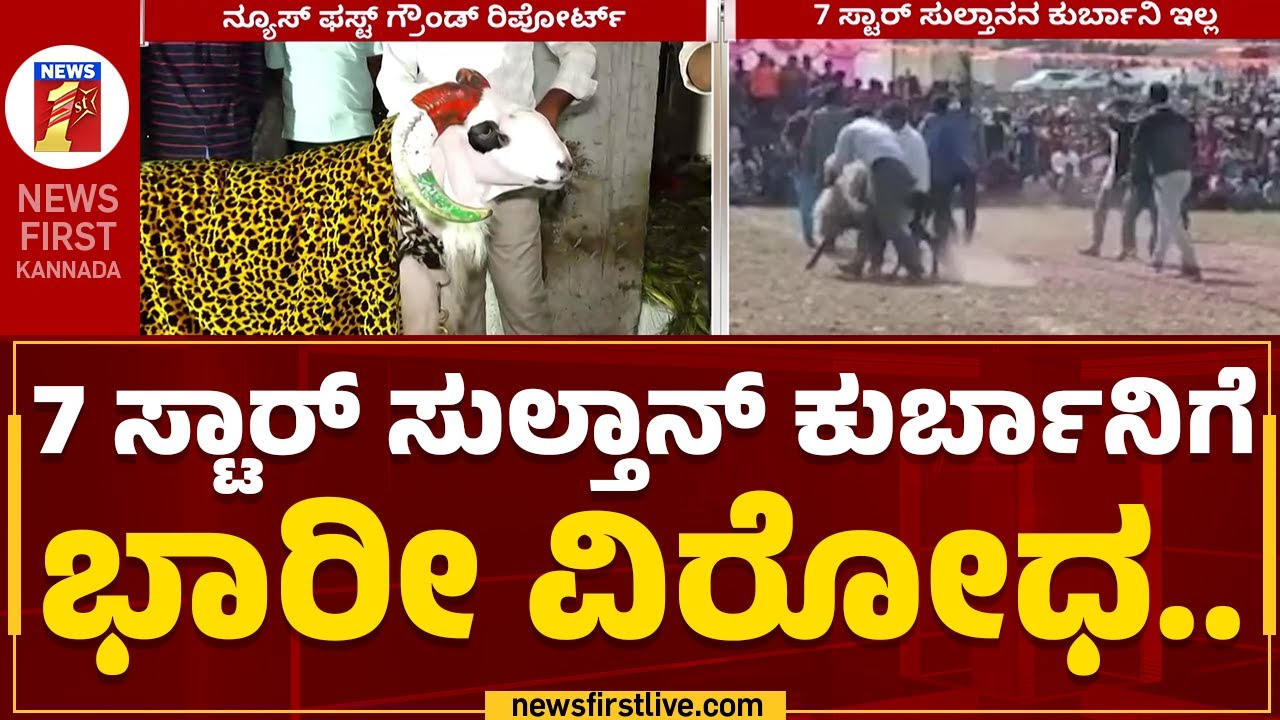 7 Star Sultan : ಒಂದೂವರೆ ತೊಲೆ ಬಂಗಾರ ಗೆದ್ದ ಟಗರು, ಬಲಿ ಕೊಡಲ್ಲ ಎಂದ ಮಾಲೀಕ ...