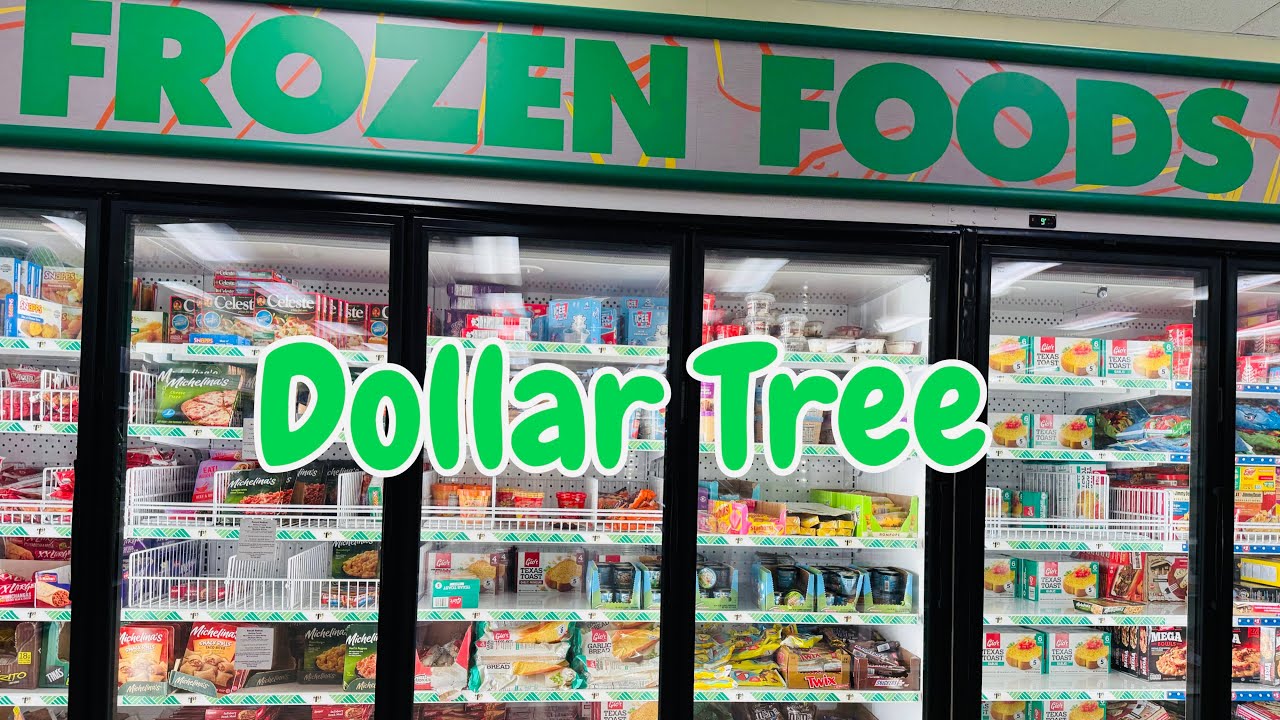 Dollar Tree Frozen Food TV Dinner Ice Cream Pizza November 14, 2024 ...