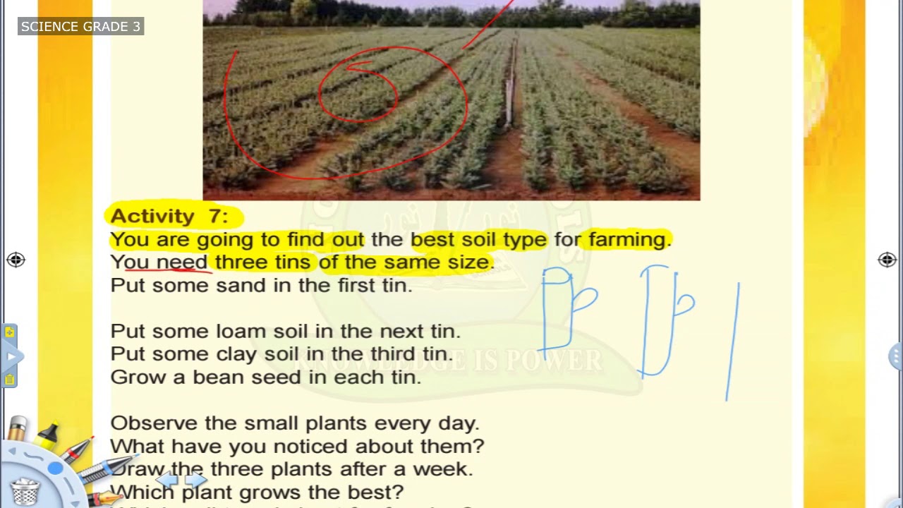 GRADE 3 SCIENCE 27 04 2020 - YouTube