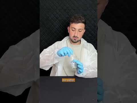 Where Does The Reaction In This Experiment Take Place Chegg