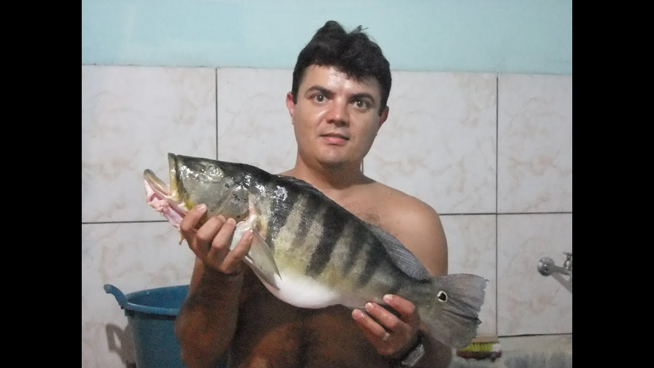 Tucunaré Serra da Mesa - Receita recheado e assado. - YouTube