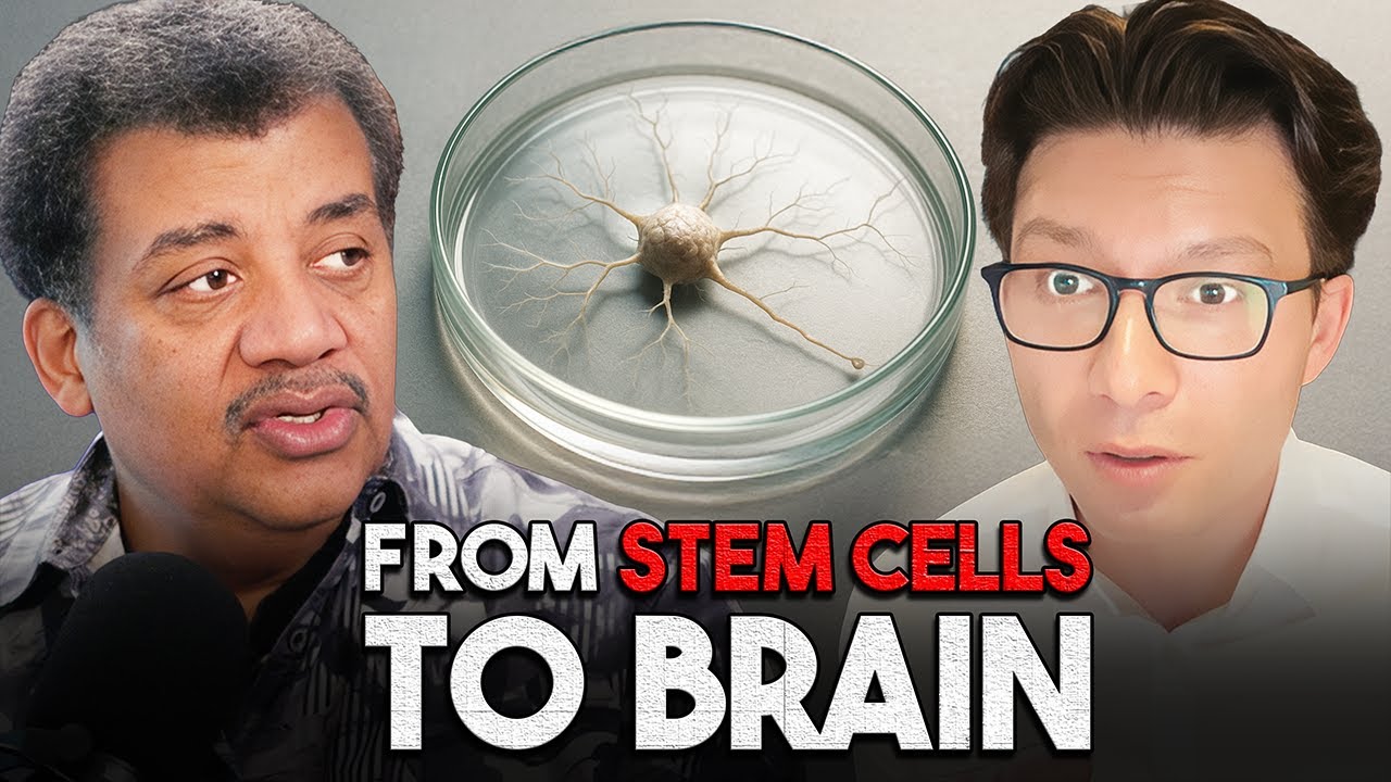 Can We Now Create Brain Cells in a Dish? - YouTube
