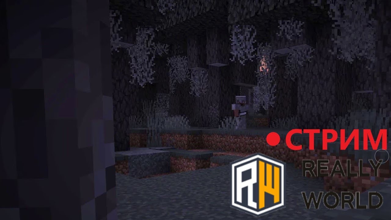 Взгляд новичка //Really World\\ - YouTube