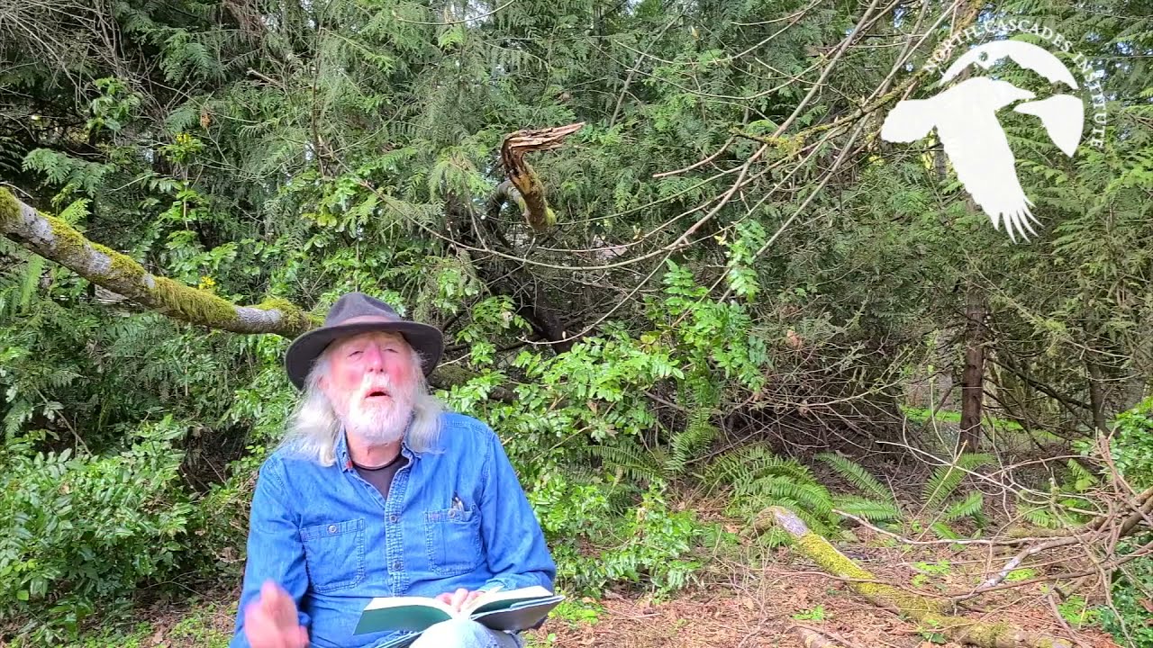 Poetry from the Porch with Bill Yake: Robert Sund - YouTube