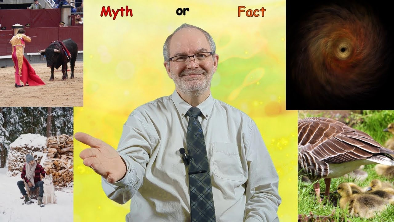 Debunking Common Myths: 20 Facts You Need to Know - YouTube