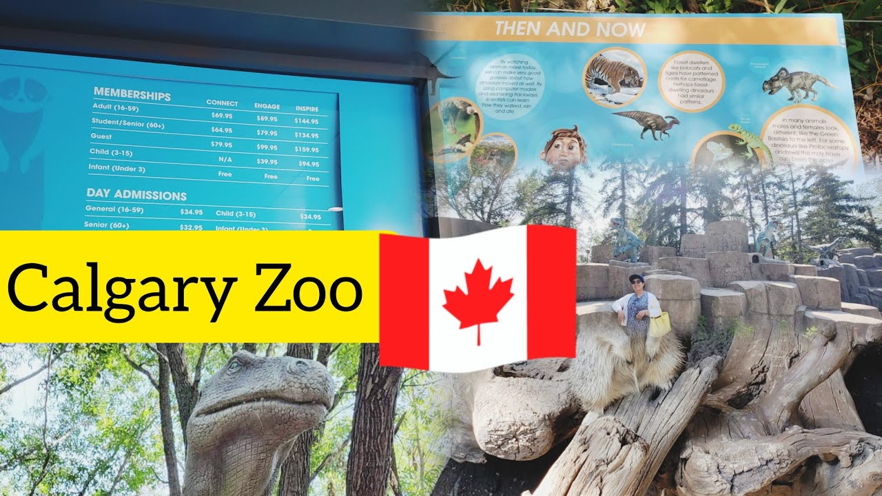 Calgary Zoo , Alberta Canada - YouTube