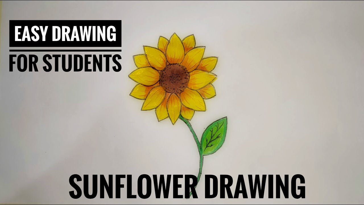 How to Draw Sunflower for Students (Very Easy) | Sunflower Drawing for ...
