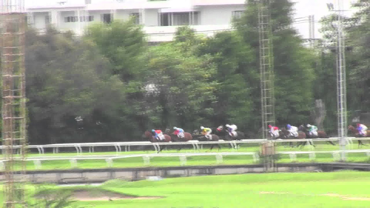 Race 4 at Bangkok Royal Turf Club - YouTube