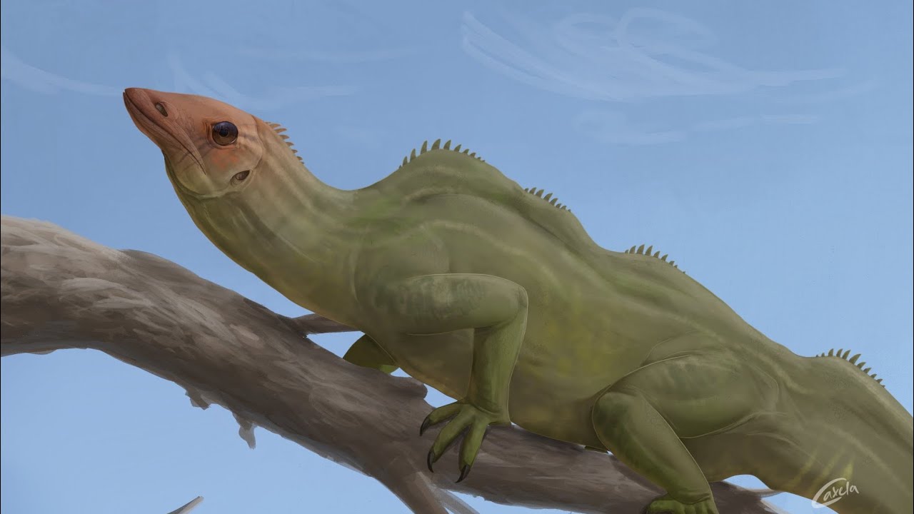 Megalancosaurus | Reptil de Brazos Largos del Valle de Preone ...