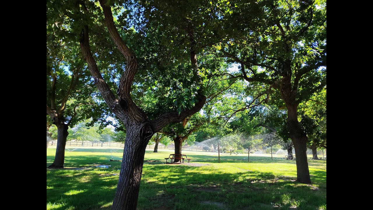 Sprinklers in an windy Oak Tree Park - YouTube