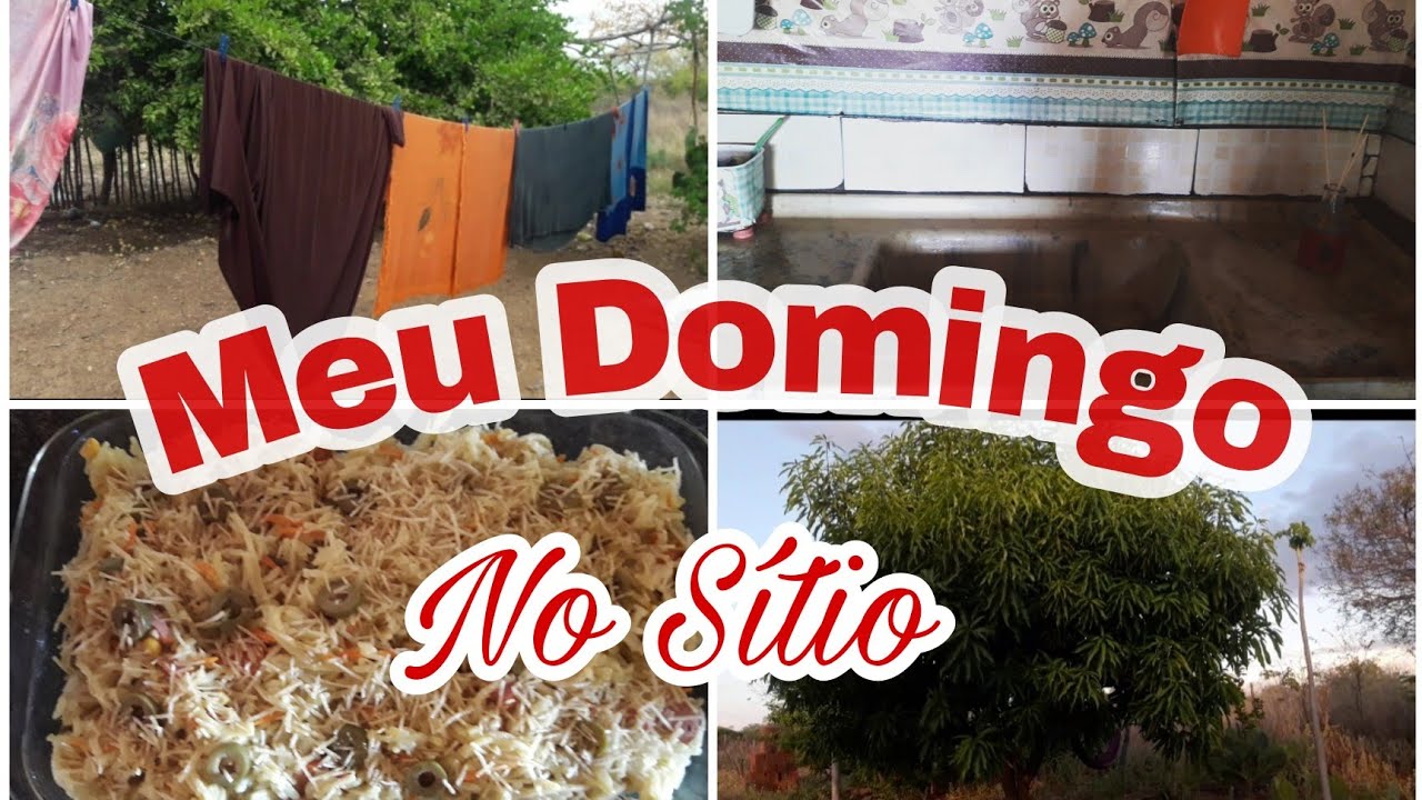 Vlog/Domingo produtivo/Mostrei tudo. - YouTube
