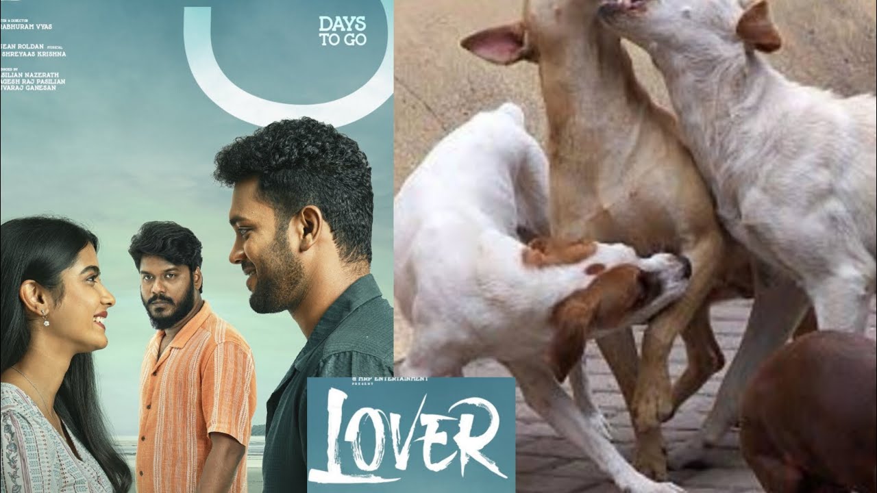 LOVER TAMIL MOVIE PUBLIC REVIEW ACTORS #MANIKANDAN FILM DIRECTOR ...