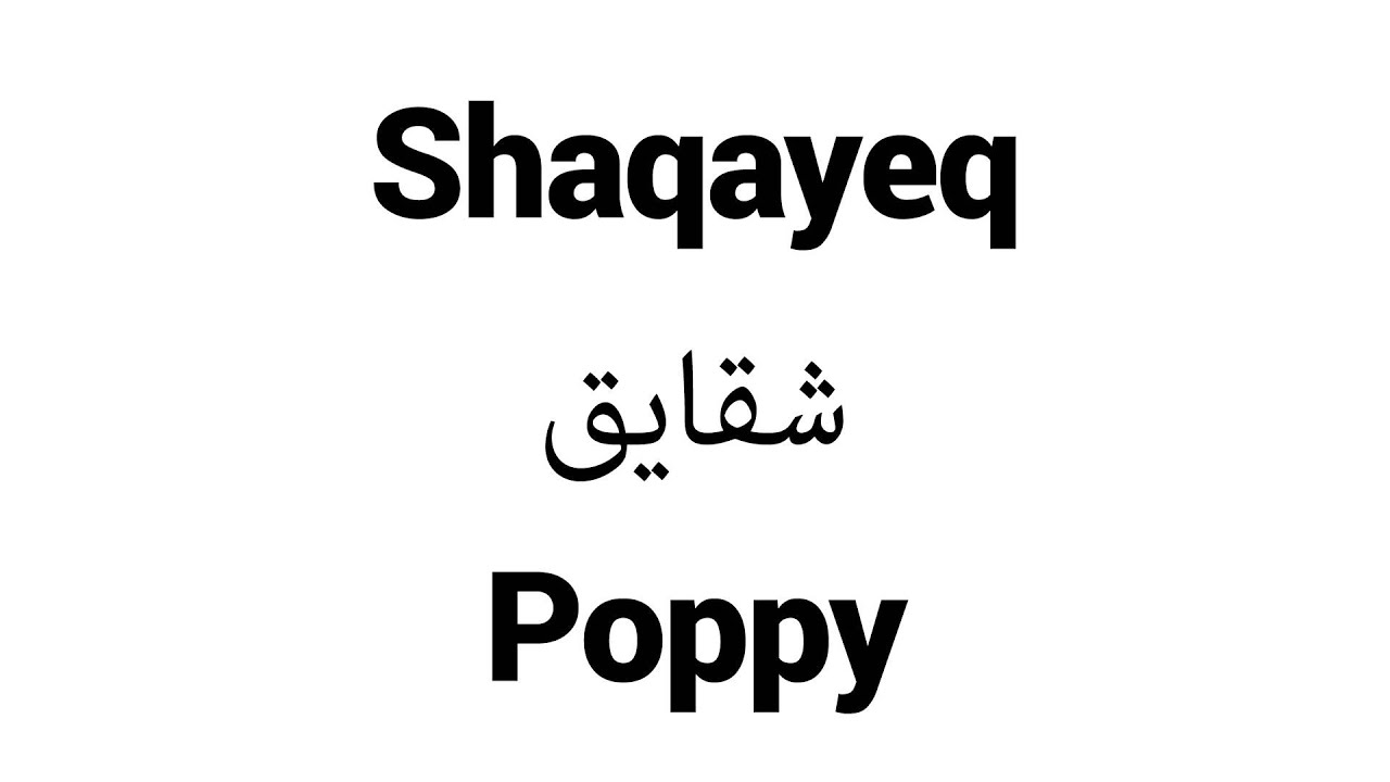 How to Pronounce Shaqayeq! - Middle Eastern Names - YouTube