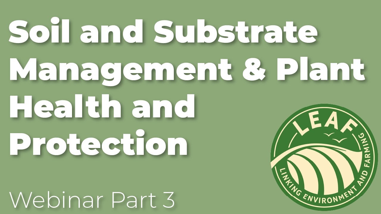 Soil and Substrate Management & Plant Health and Protection - YouTube