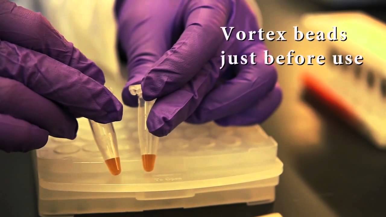 Tips for Bead based Clean ups and Size Selection - YouTube