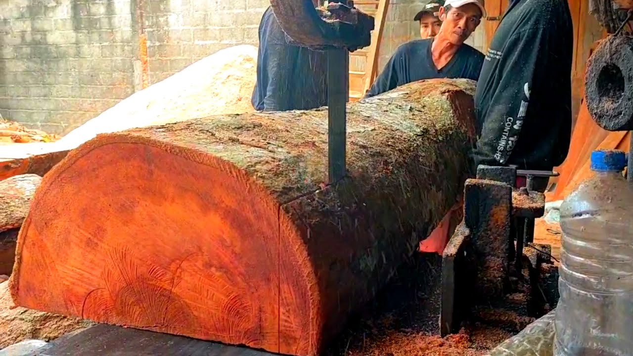 Astaga!!! Kayu Durian Ratusan Tahun diSawmill Papan, lihat apa yang ...
