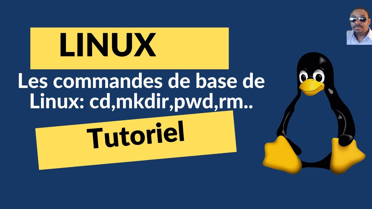 Les commandes de base de Linux : ls,cd,pwd,mkdir,rm, - YouTube