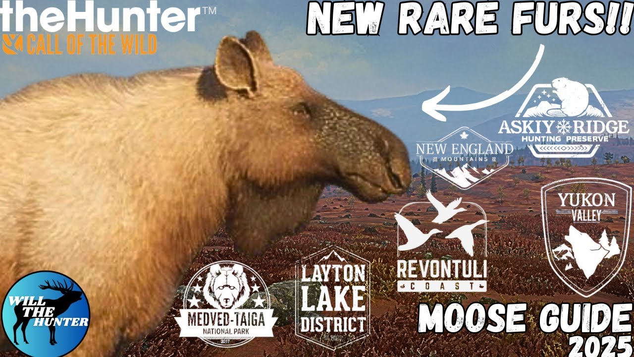 New Rare Moose Furs?!! Plus Updated Guide For All 6 Moose Maps ...