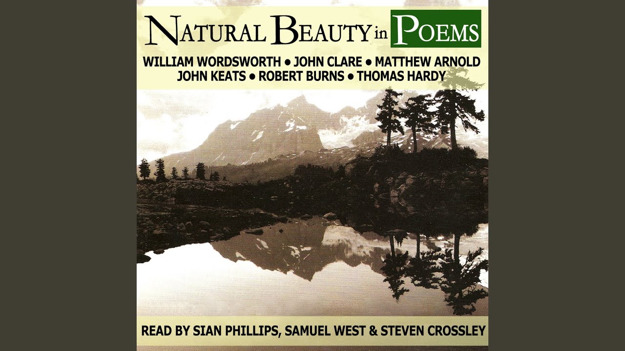 Throwing A Tree - YouTube