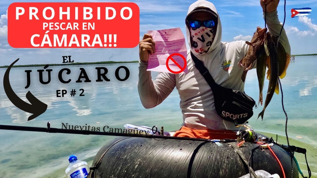 EXPEDICIÓN de PESCA al Júcaro /CUBA/MichopescA Fishing Trips 2024 ...
