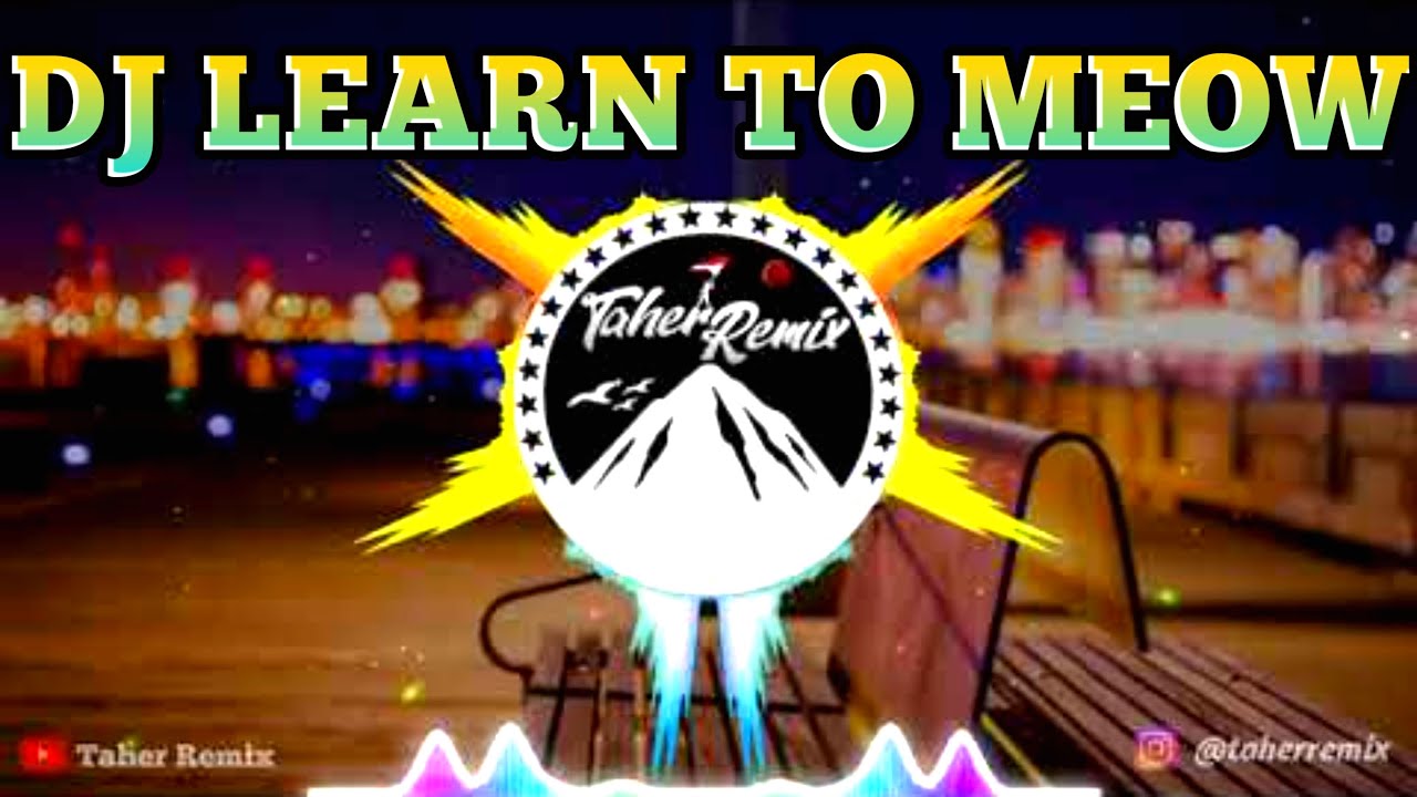 DJ LEARN TO MEOW REMIX ( Say Meow Meow ) DJ TIK TOK VIRAL TERBARU 2020 ...