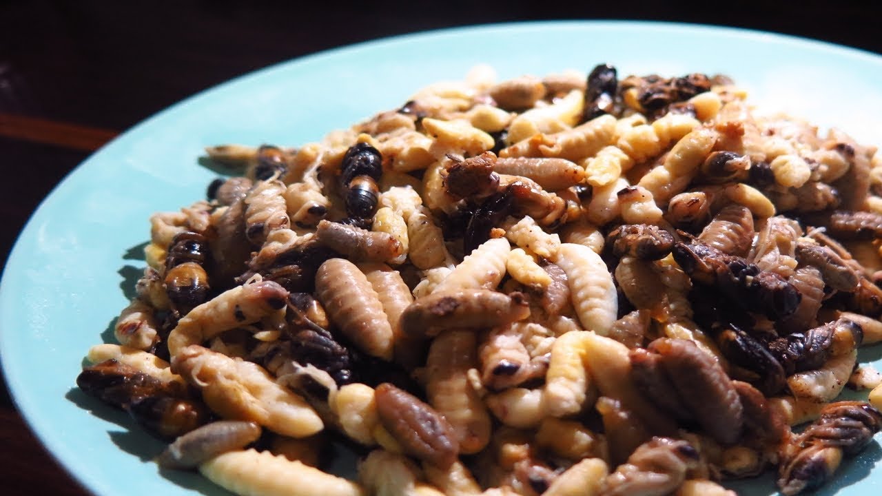 Amazing Food Cooking Insect Laos wild food - YouTube