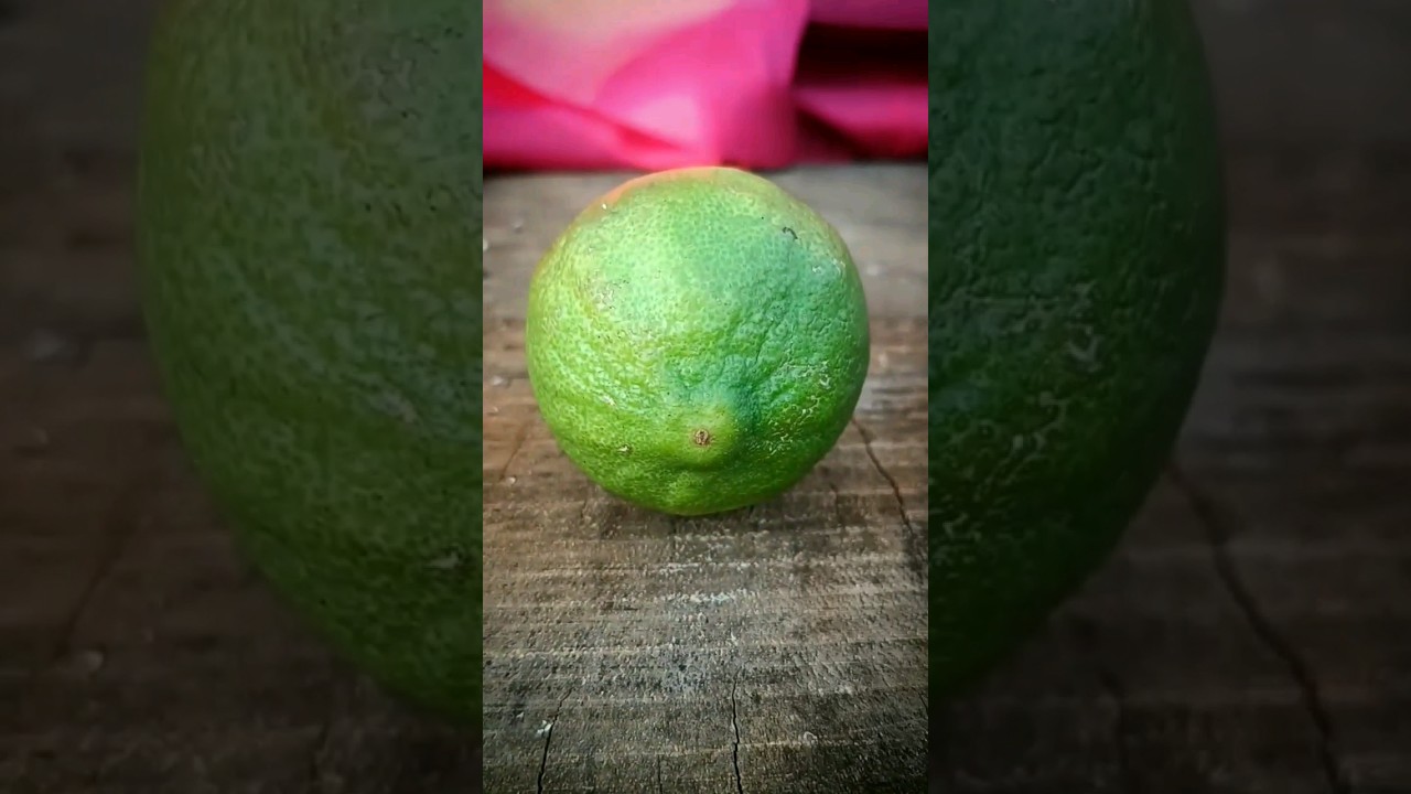 লেবুর পিনিক🍋🍋 Lemon chat #short #food #ytshorts #foodlover #লেবুরপিনিক ...