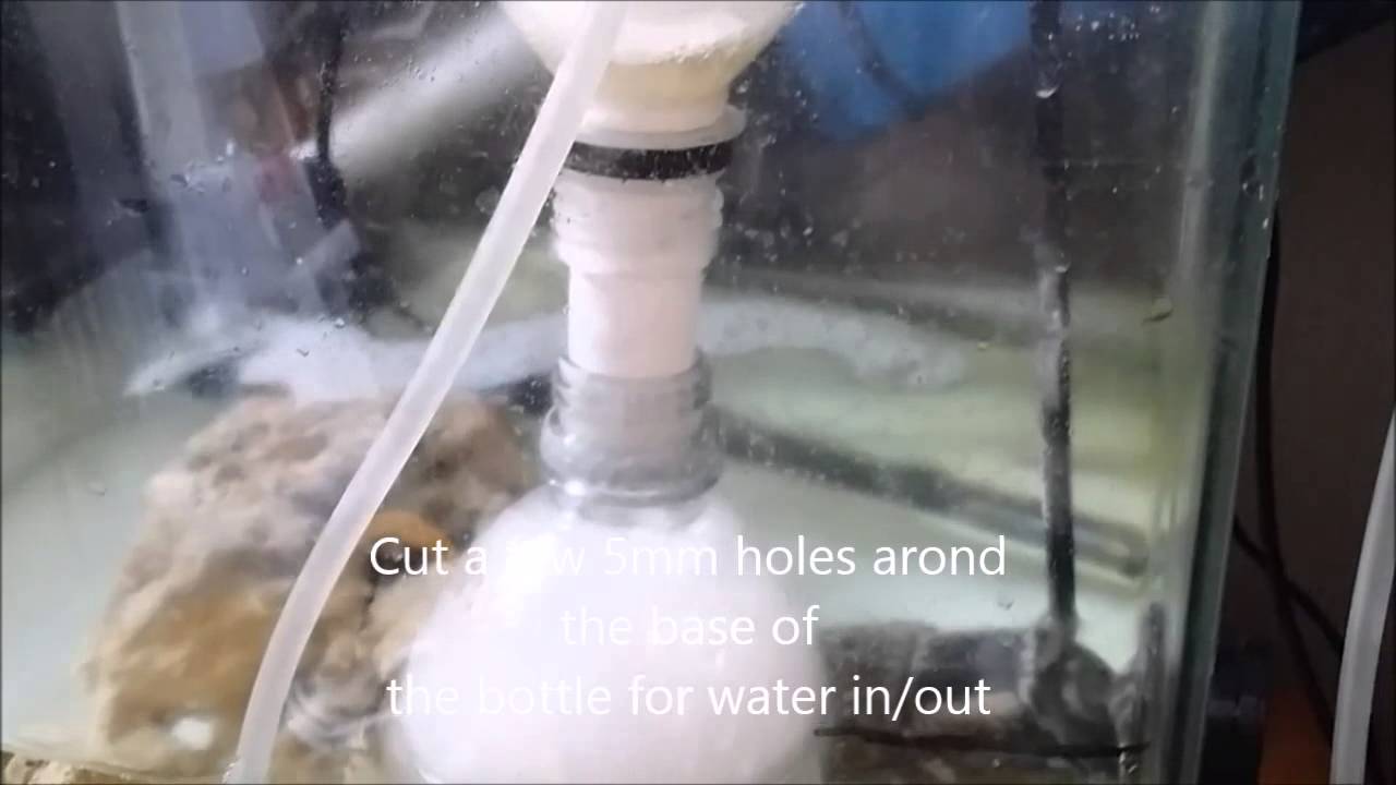 Small DIY Skimmer - YouTube