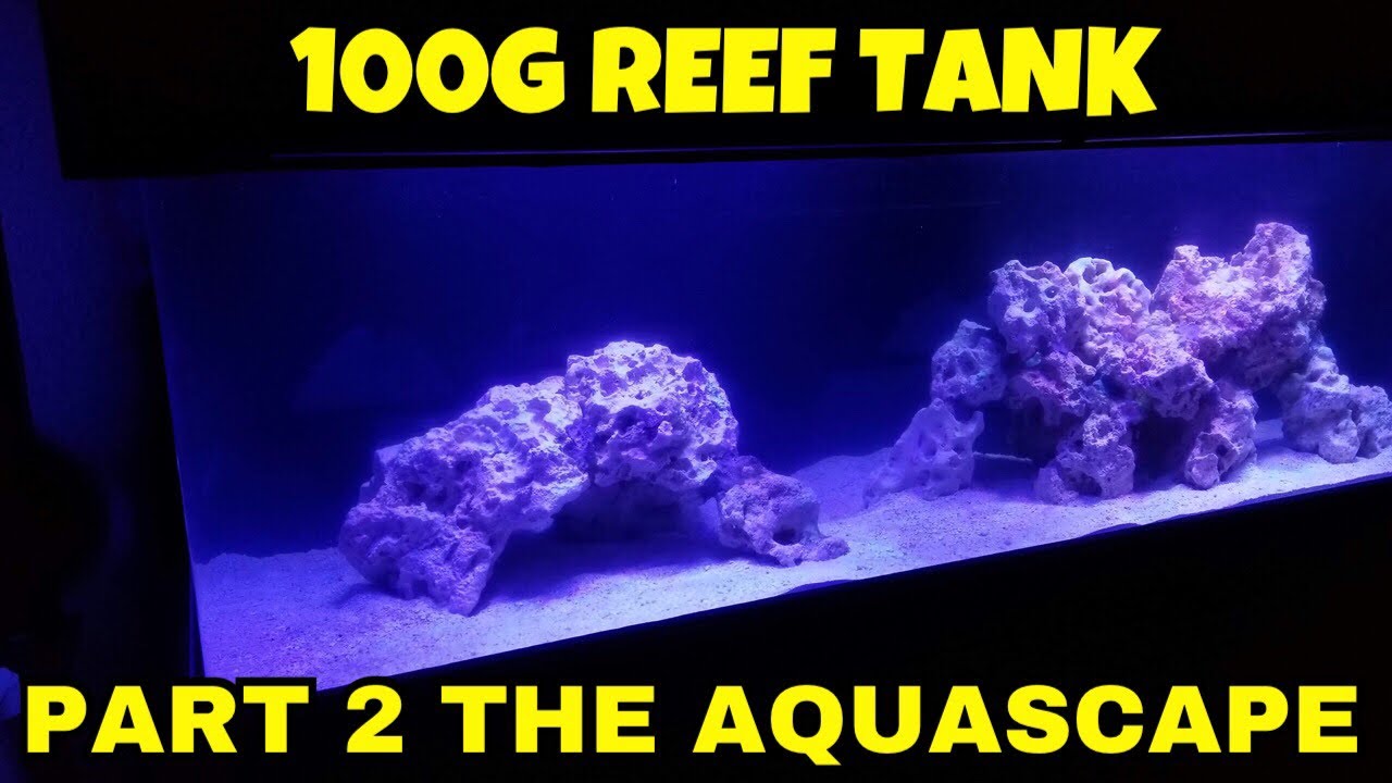 100 Gallon Reef Tank Part 2 The Aquascape - YouTube