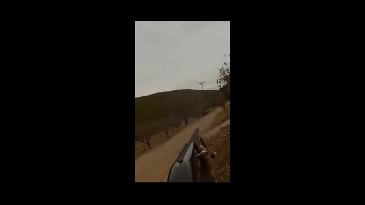 ΚΥΝΗΓΙ ΛΑΓΟΥ ΣΤΑΜΟΥΛΗΣ ΕΤΣΙ ΤΟΝ ΘΕΛΩ - YouTube