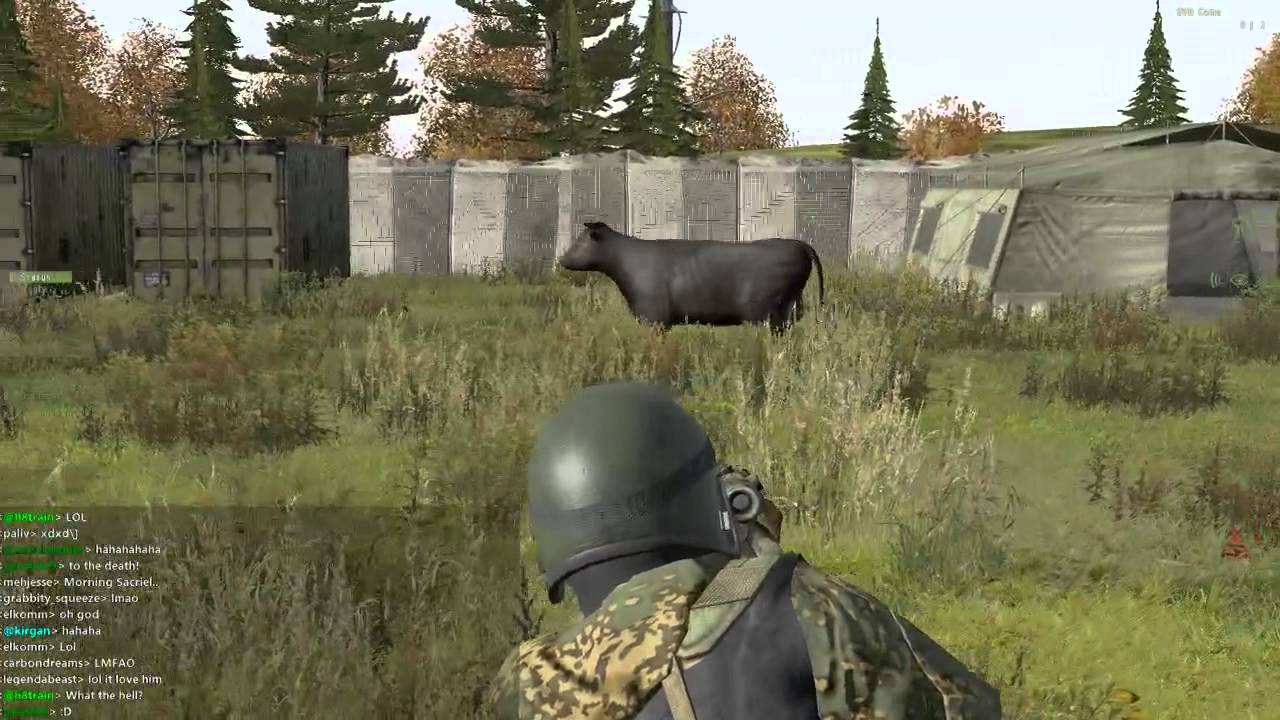 DayZ - The Alpha Cow - YouTube