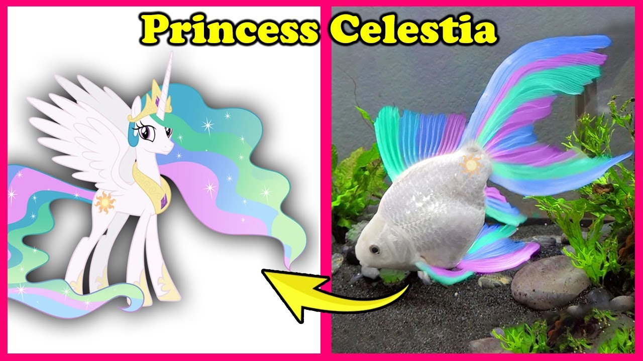 MLP As Fish Version - YouTube