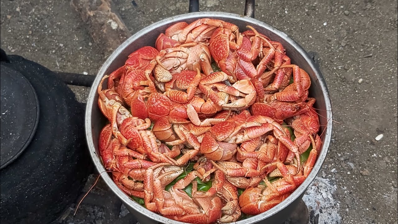 Coconut Crab🦀 || Catch =》Cook - YouTube