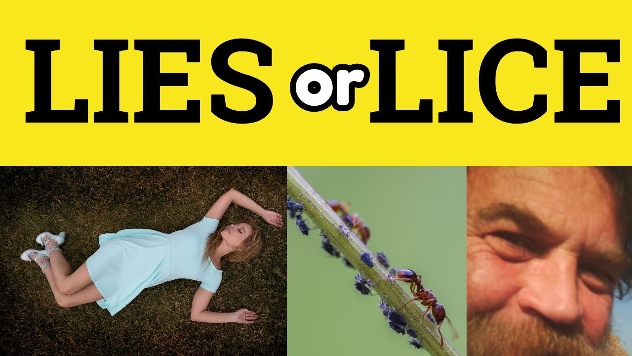 Lies or Lice - s or z consonant listening test 2- S sound or Z sound ...