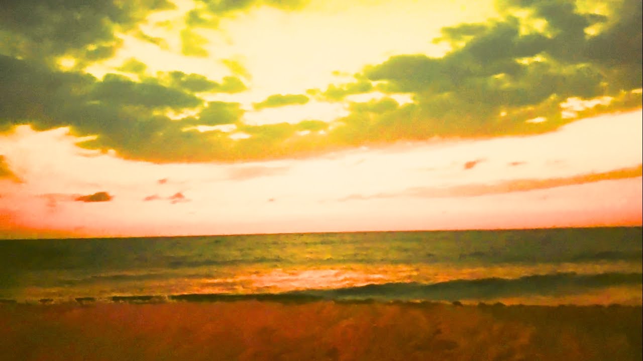 🌳🌻🌻 - YouTube