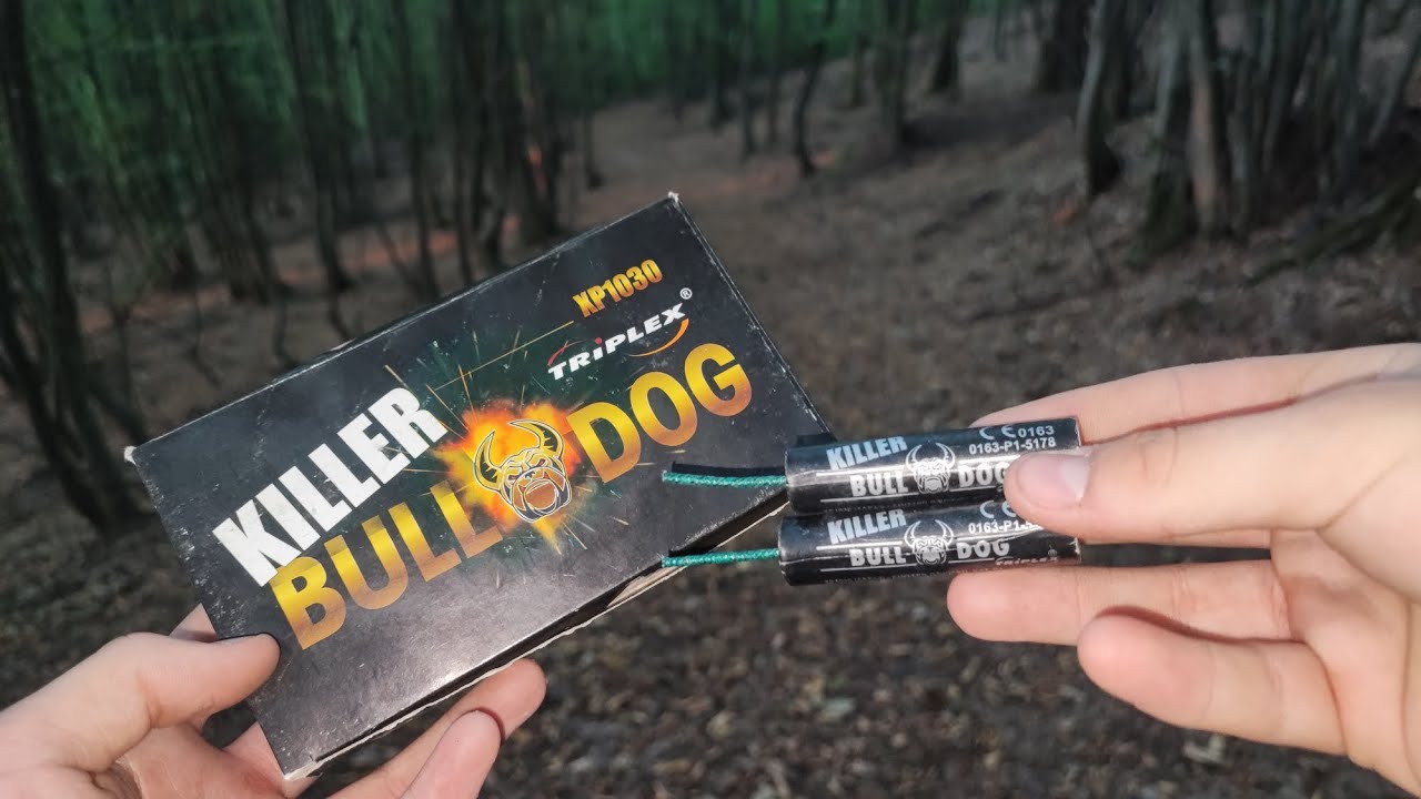 TEST PETARDE KILER BULL DOG +VERIFICARE GRAMAJ XP1030 - YouTube