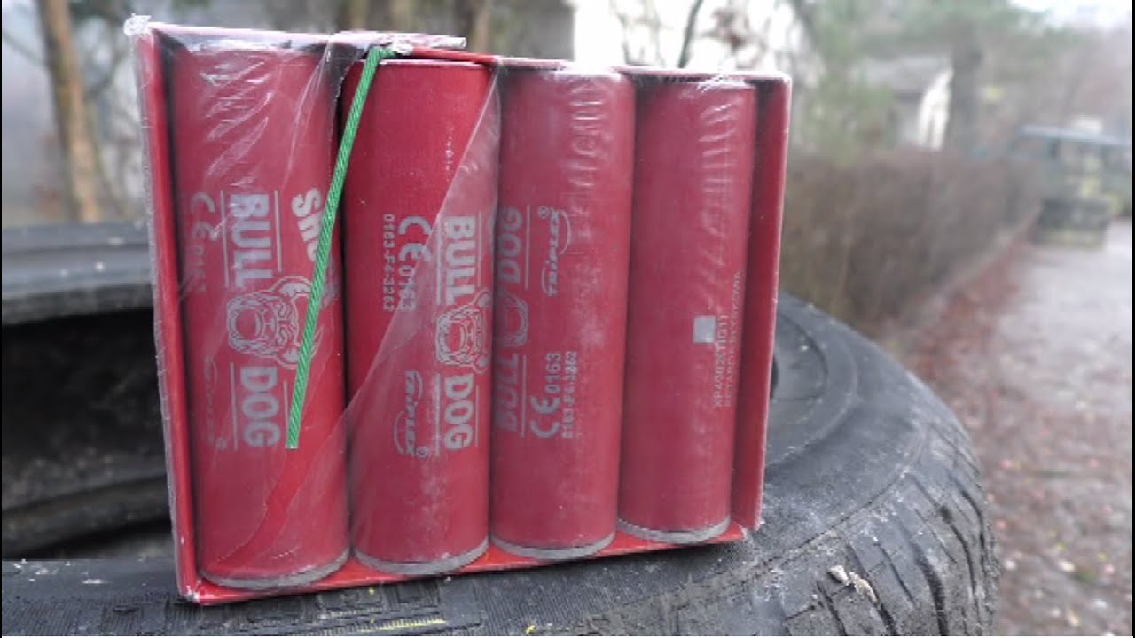 Bull Dog - Shock - YouTube