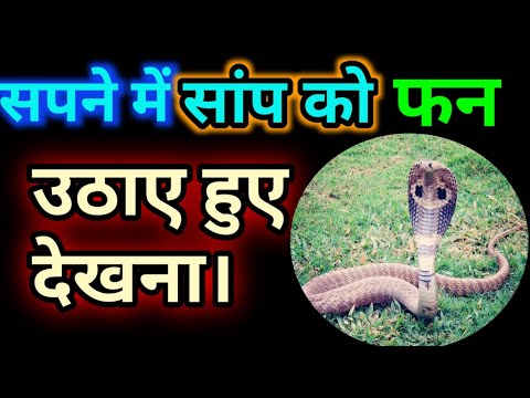 सपने में सांप को फन फैलाए देखना।सपने में सांप को फन उठाए देखना। Sapne me saap ko fun uthaye Dekhna।