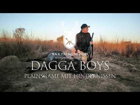 Erfahrung zahlt sich aus | Intensive Antilopenjagd in Südafrika mit K&K Premium Jagd