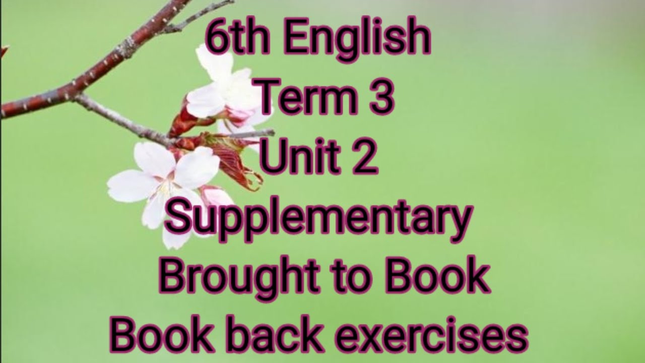6th English : Term 3 Unit 2 : Supplementary : Brought to Book:Book back exercises - YouTube