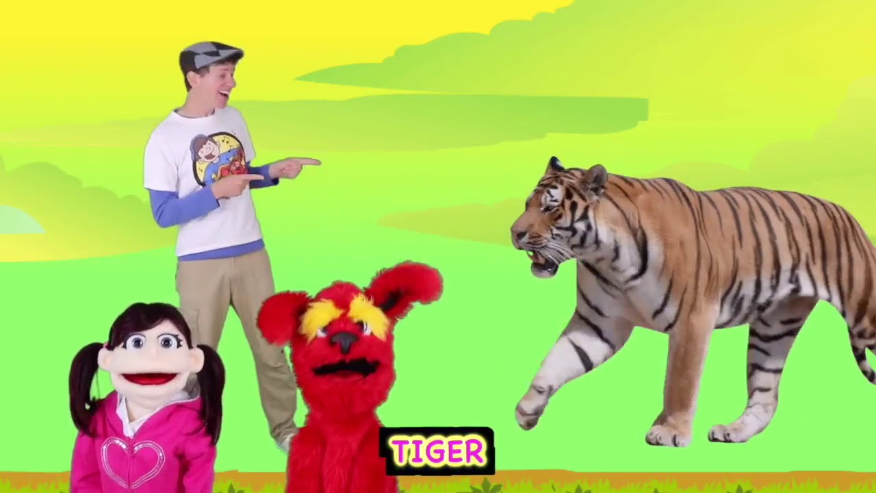 Animal Names Song with Matt Wild Animals For Children, Learn English ...