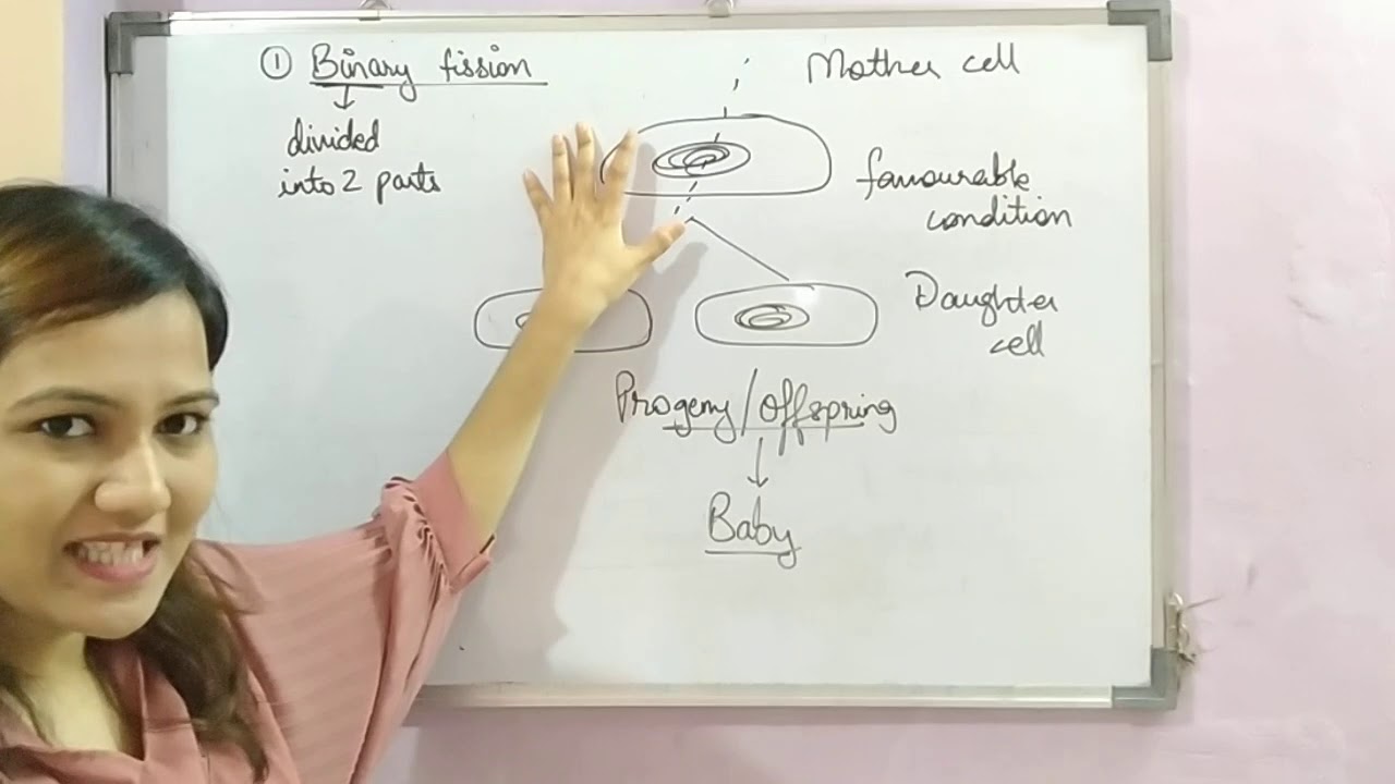 8 ICSE-Biology- Reproduction in Plants-Video1-Minal Punamiya-HOD ...