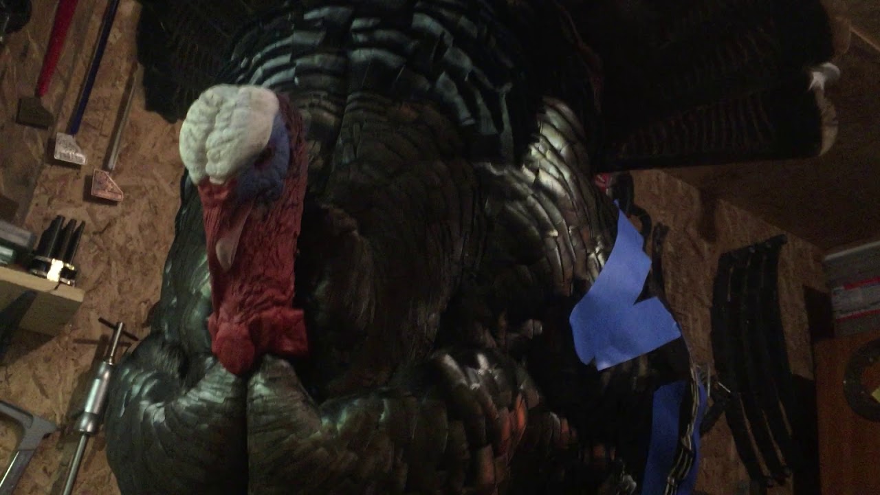First taxidermy of a turkey - YouTube