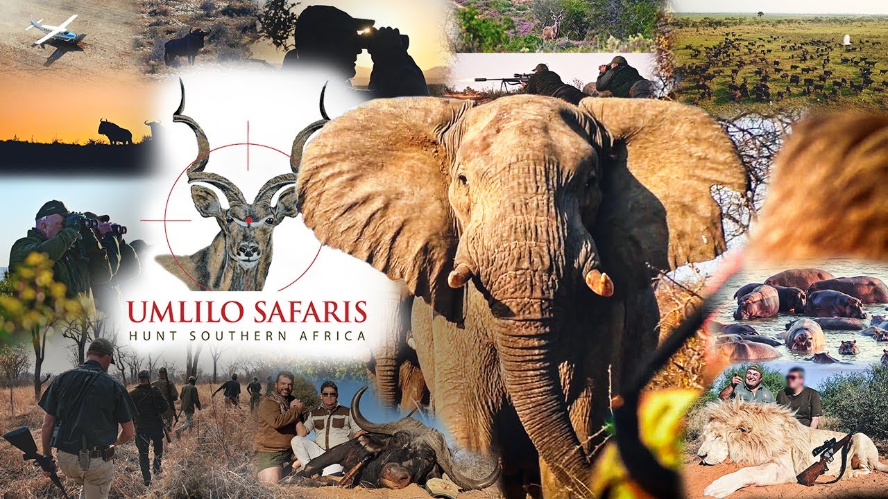 Umlilo Safaris Promo Video 2026 - YouTube